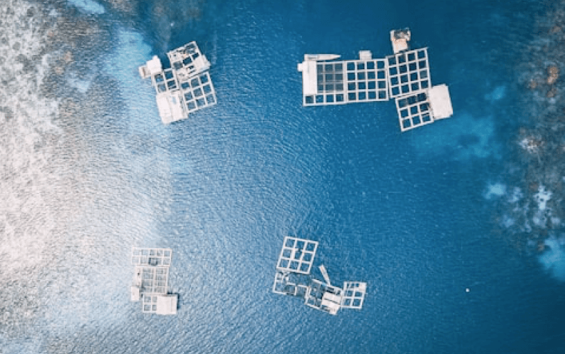 Synapsis IoT Services - Smart IoT Solutions for Business